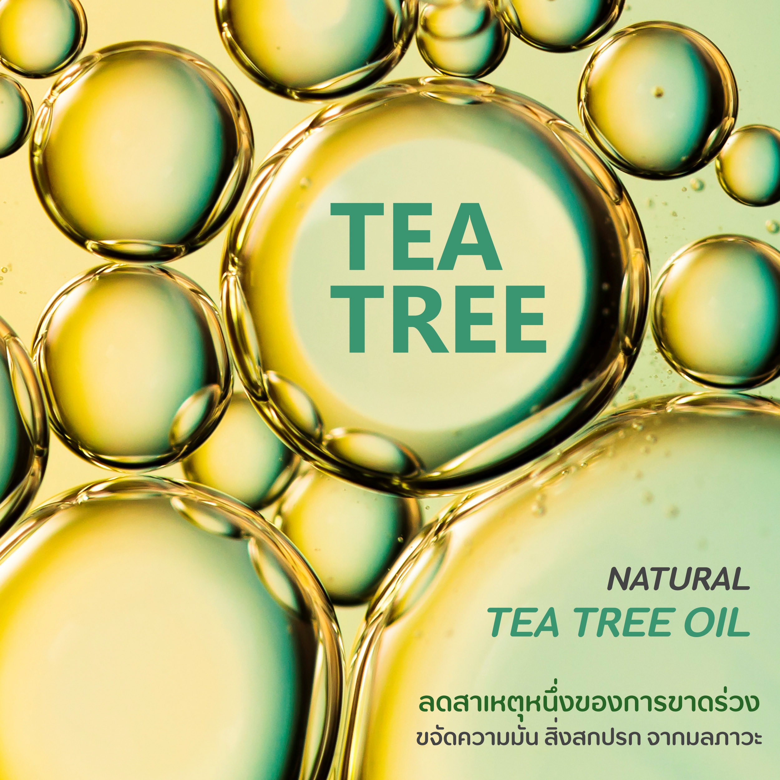 TEA TREE GENTLE SHAMPOO – Thanthai Natural