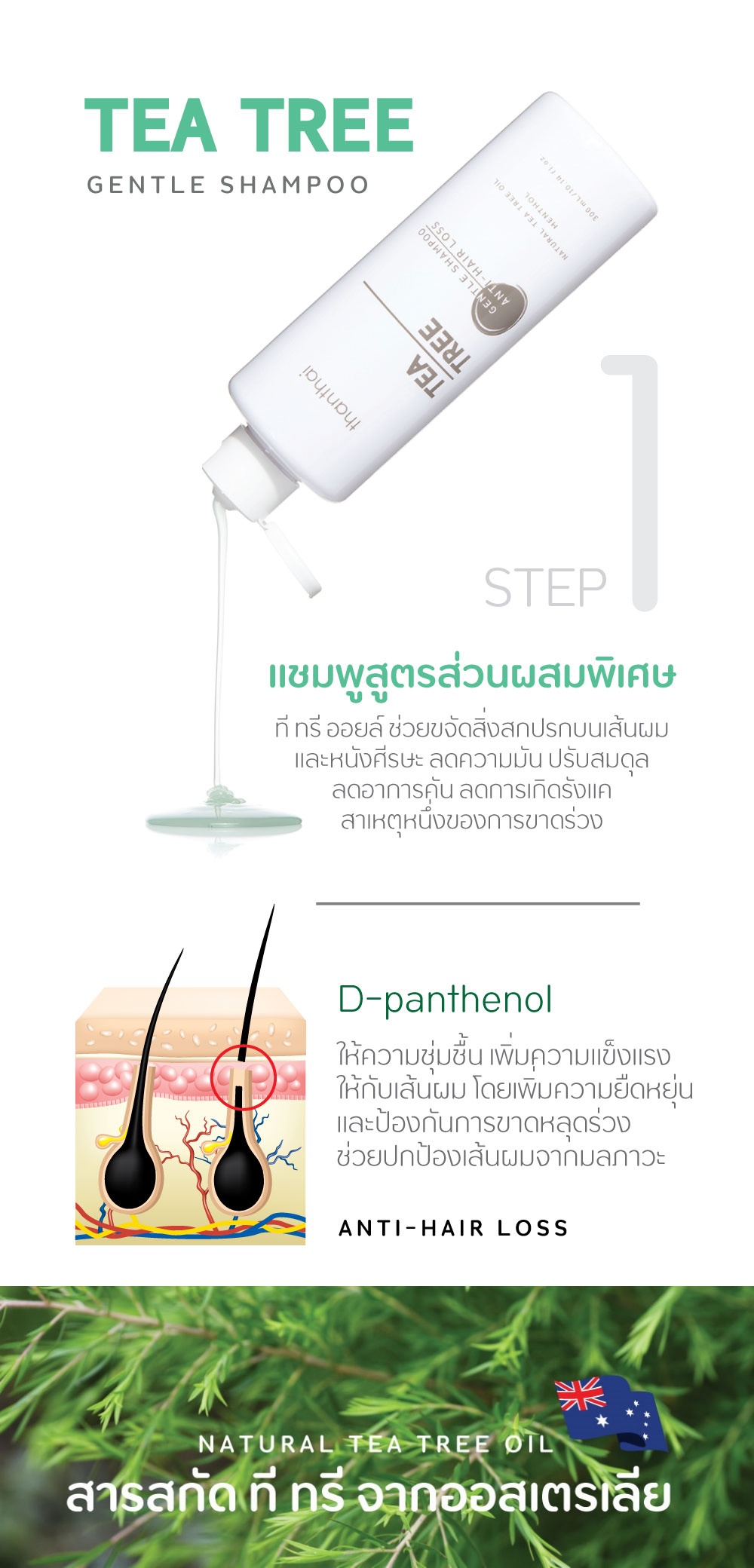 TEA TREE GENTLE SHAMPOO – Thanthai Natural